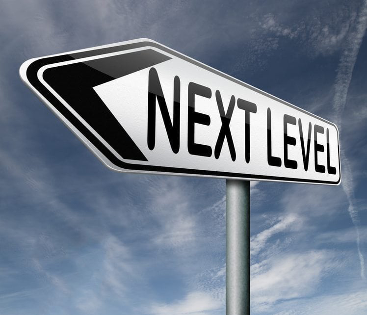 The Next Level: Long-Arc Thinking in the Leadership Search Process - RG175